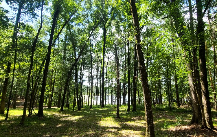 Restoration Retreat Tickets | Second Acre