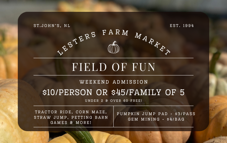 Field of Fun (Weekends Admission) Tickets | Lester's Farm Market Inc.