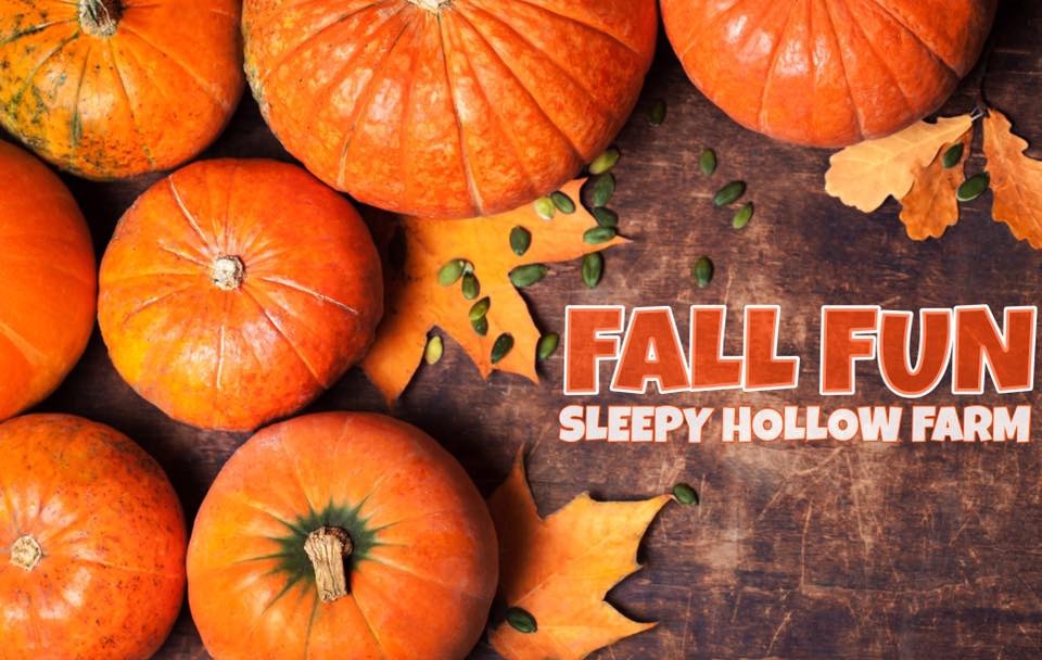 Fall Fun - General Admission 2024 Tickets | Sleepy Hollow Pumpkin Patch