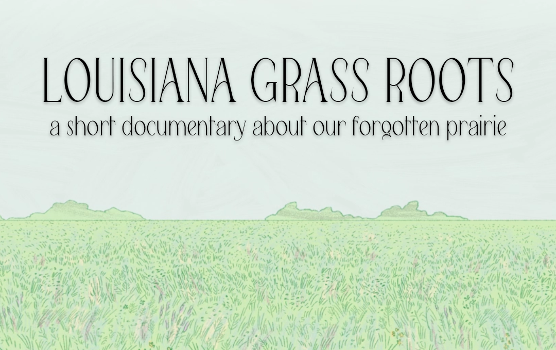 Louisiana Grass Roots Film Preview Tickets | Acadiana Center for the Arts