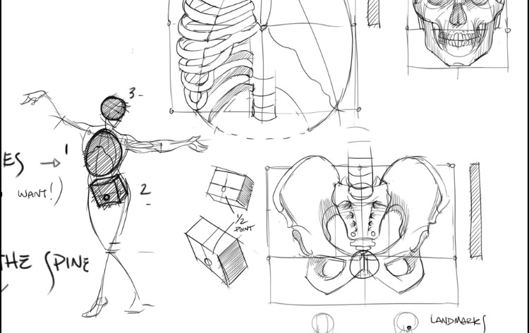 Fundamentals of Figure Drawing: Gesture Tickets | Memphis Brooks Museum ...