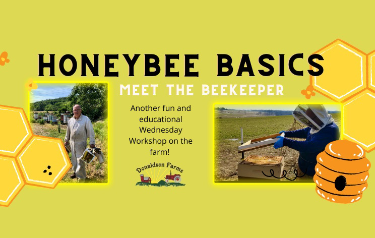 Honeybee Basics August – Meet the Beekeeper! Tickets | Donaldson Farms