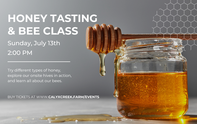 Honey Tasting and Bee Class Tickets | Calyx Creek