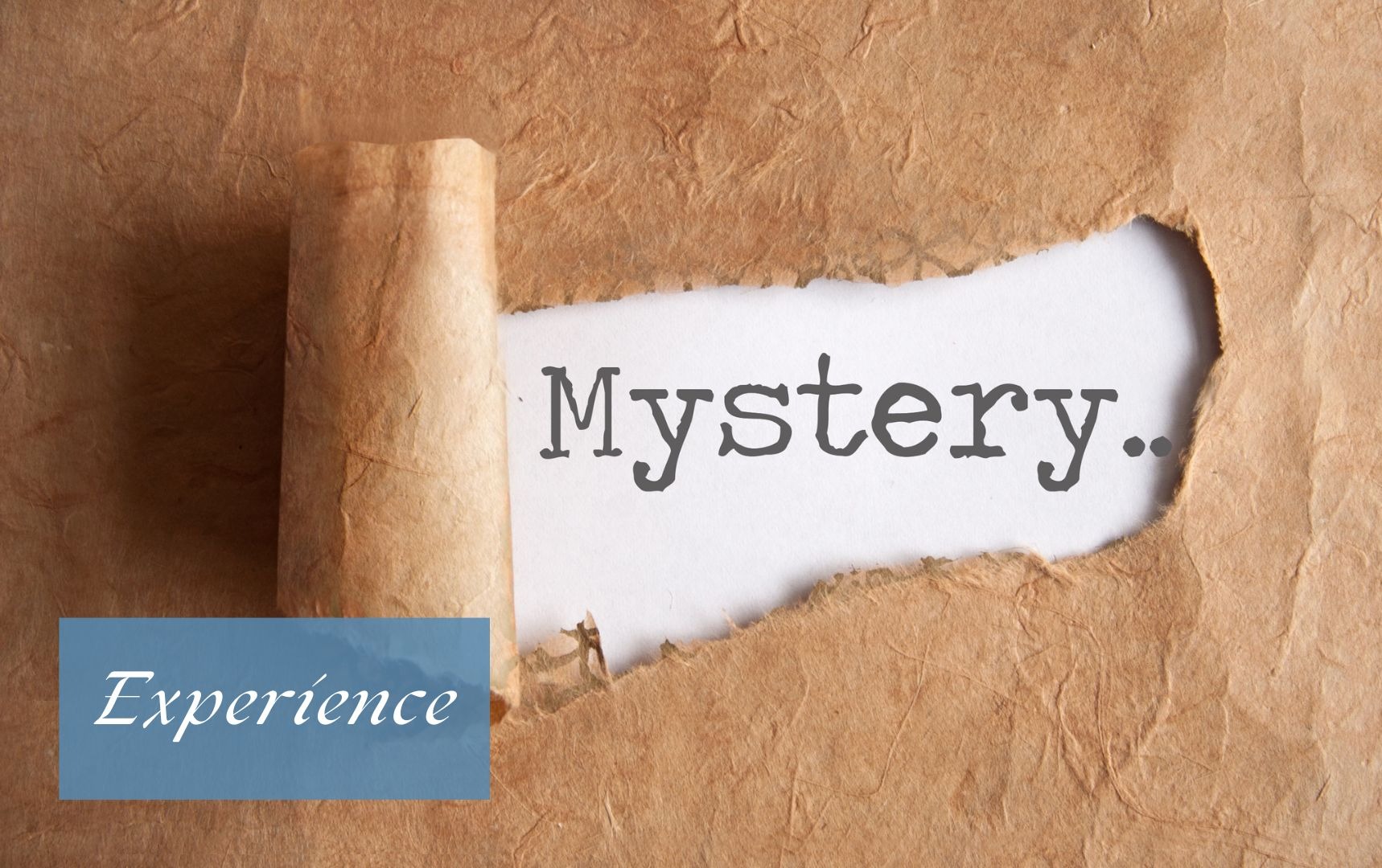 Murder Mystery: Graduation to Die For Tickets | No Thyme to Cook