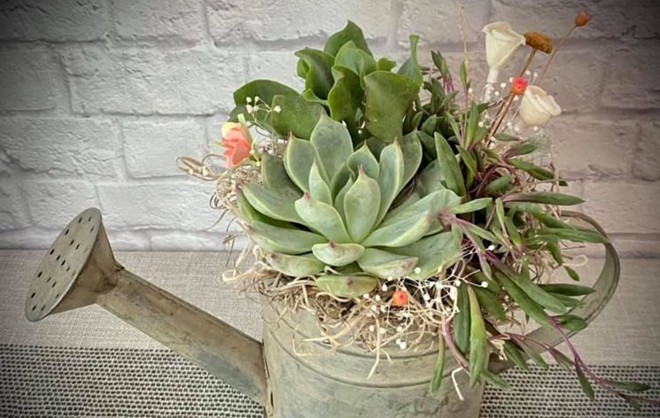 DIY Spring Succulent Arrangement @ Falling Branch Brewery Tickets ...