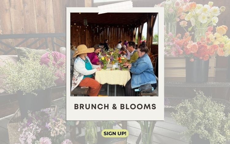 Sunday Brunch & Blooms - Archived Tickets | Gather Mountain Blooms