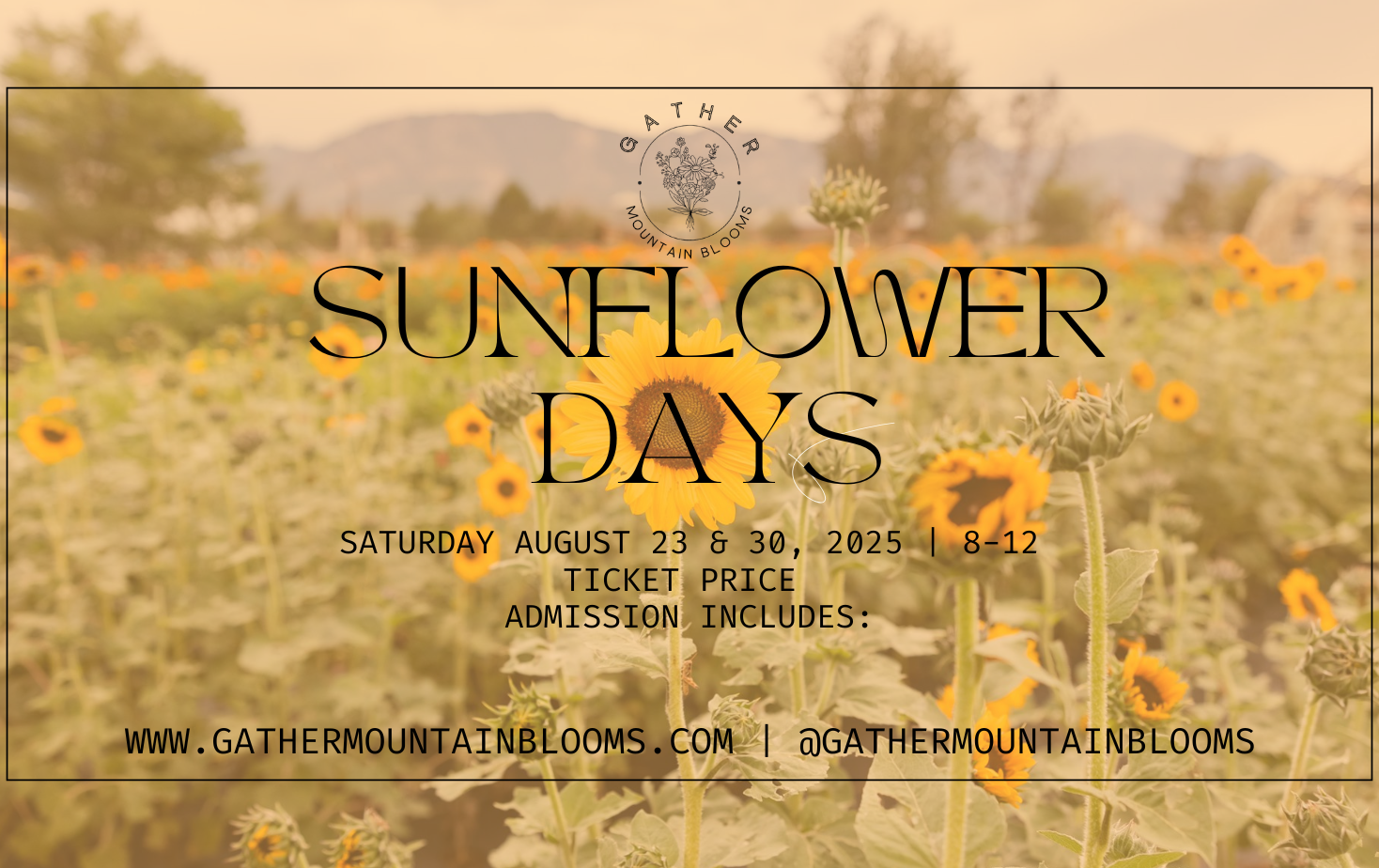 Sunflower Days - Archived Tickets | Gather Mountain Blooms