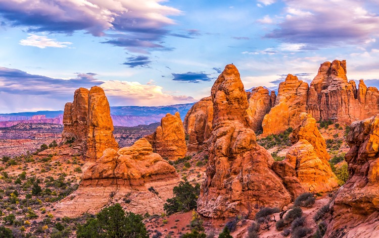 Red Rock Canyon National Conservation Area Tickets | My Business