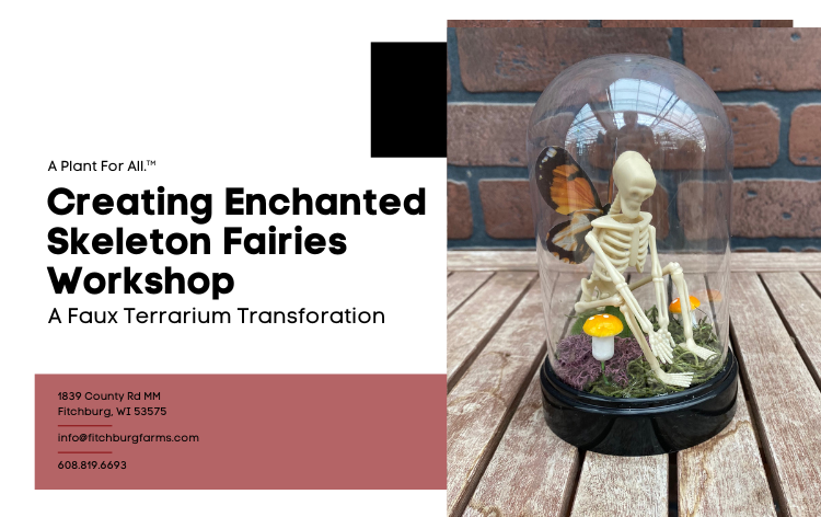 Creating Enchanted Skeleton Fairies: A Faux Terrarium Transformation ...
