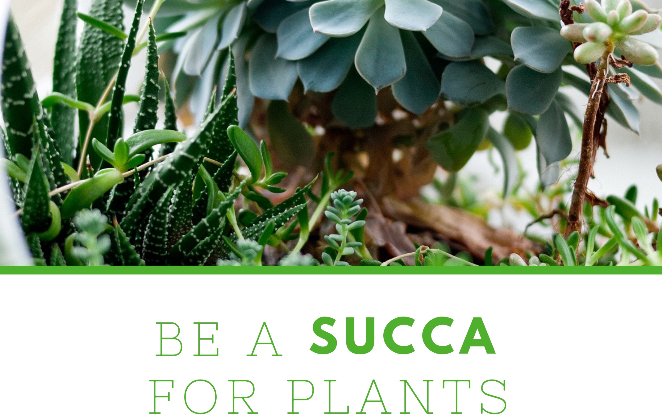 Be A SUCCA For Plants Tickets | Robillard's Garden Center