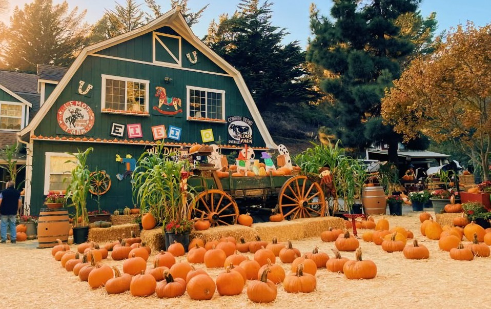 2024 Fall Pumpkin Patch Tickets | Lemos Farm