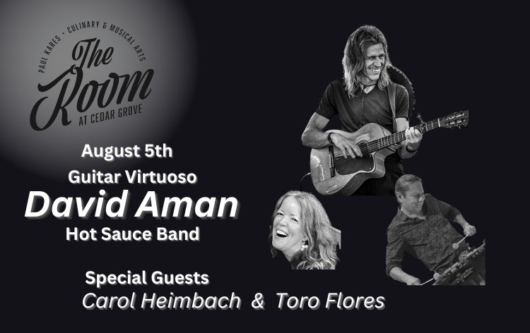 David Aman (Hot Sauce Band) with special guest Carol Heimbach and Toro ...