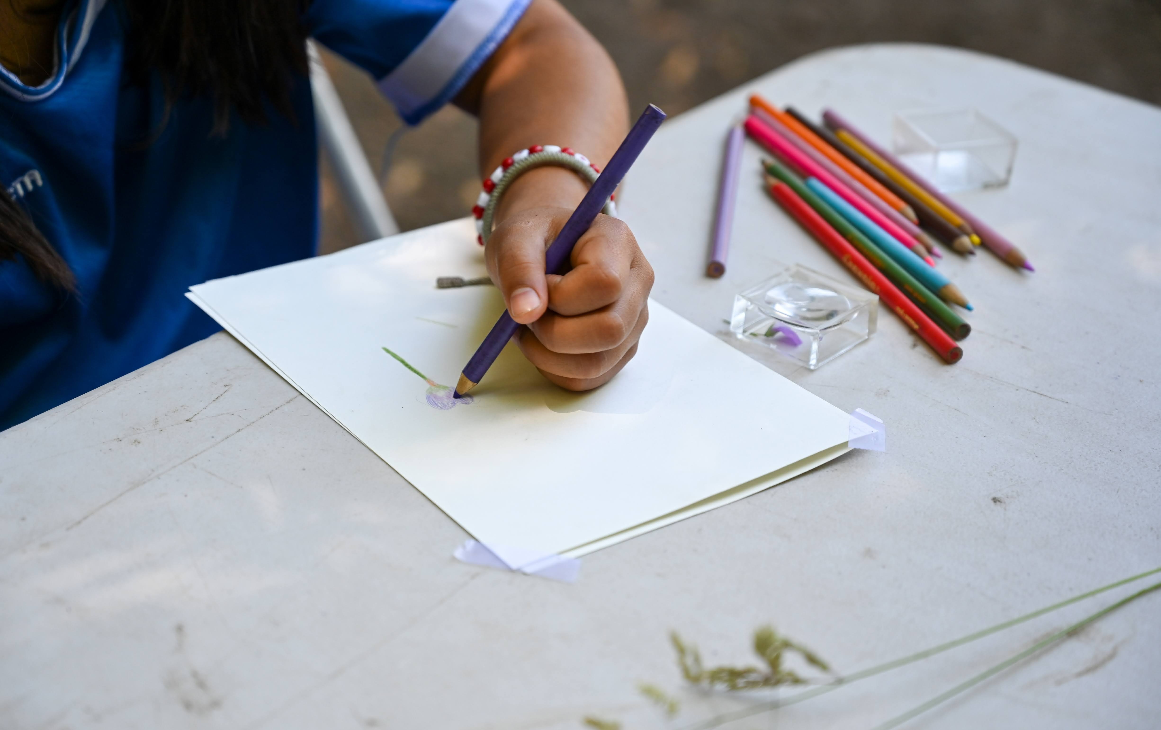 Senderos: Arte en el parque Tickets | Sugarloaf Events - SimpleTix