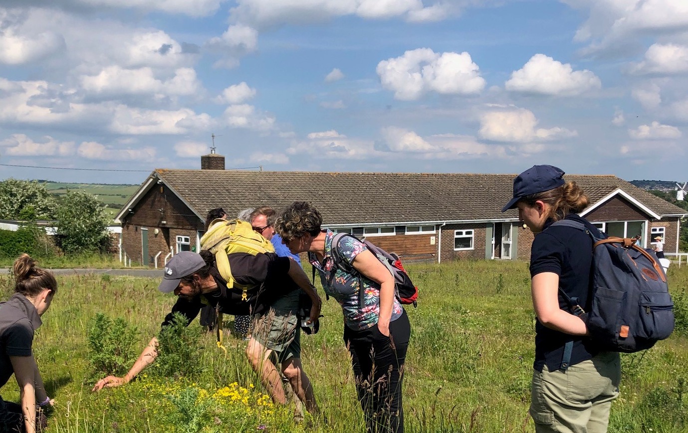 COMMUNITY Countryside Walk & Cook Up 23/10/2025 Tickets | communitycooks