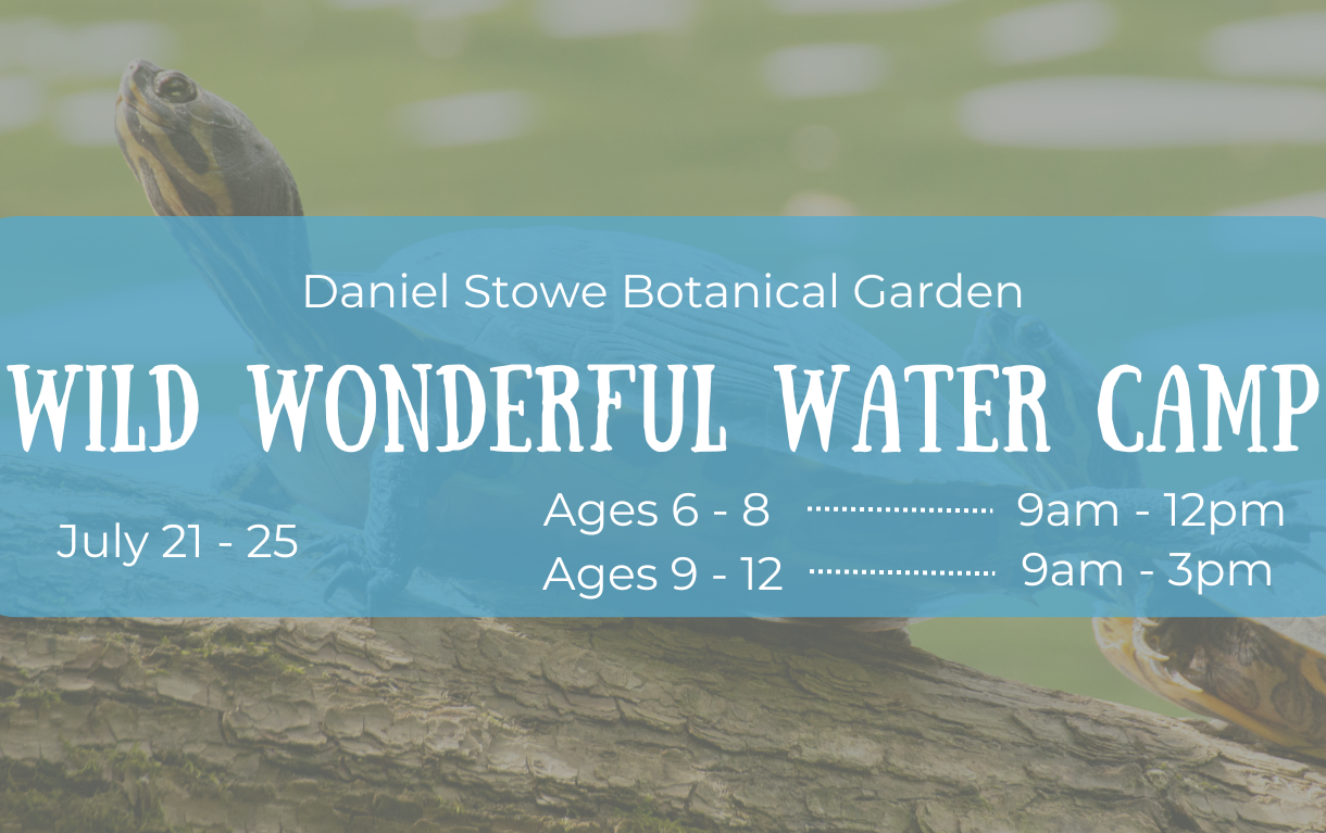 Wild Wonderful Water Camp Tickets | Programs