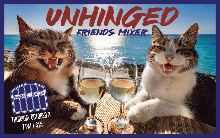 UNHINGED FRIENDS MIXER presented by Commonwealth Sanctuary Tickets ...