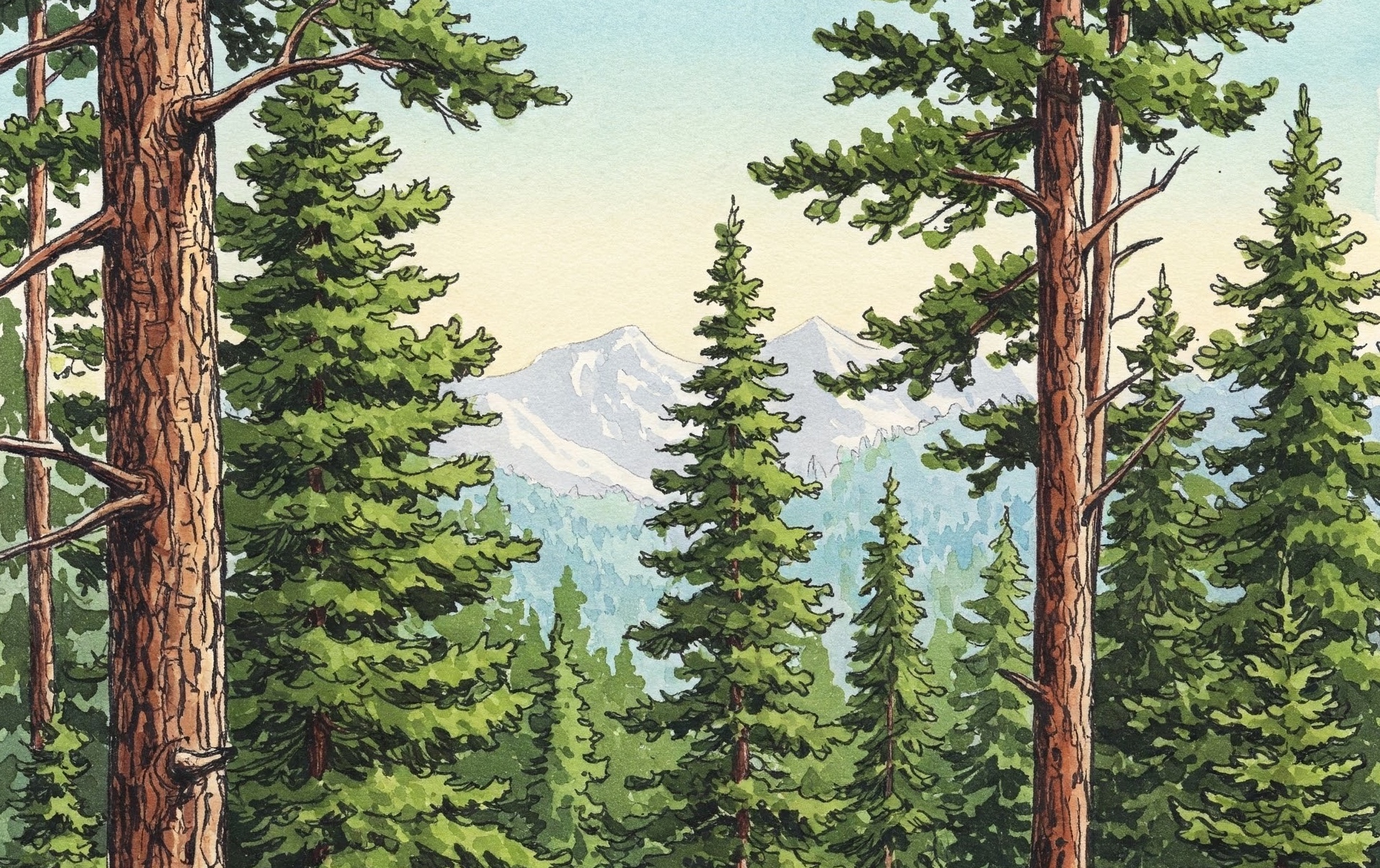 The Bloomery 2025 Summer Concert Series SEASON PASS | The Bloomery