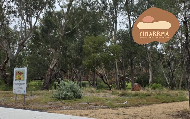 MOREE BOTANIC GARDENS BUSH TUCKER TOUR WITH YINARRMA 2026 - Archived ...
