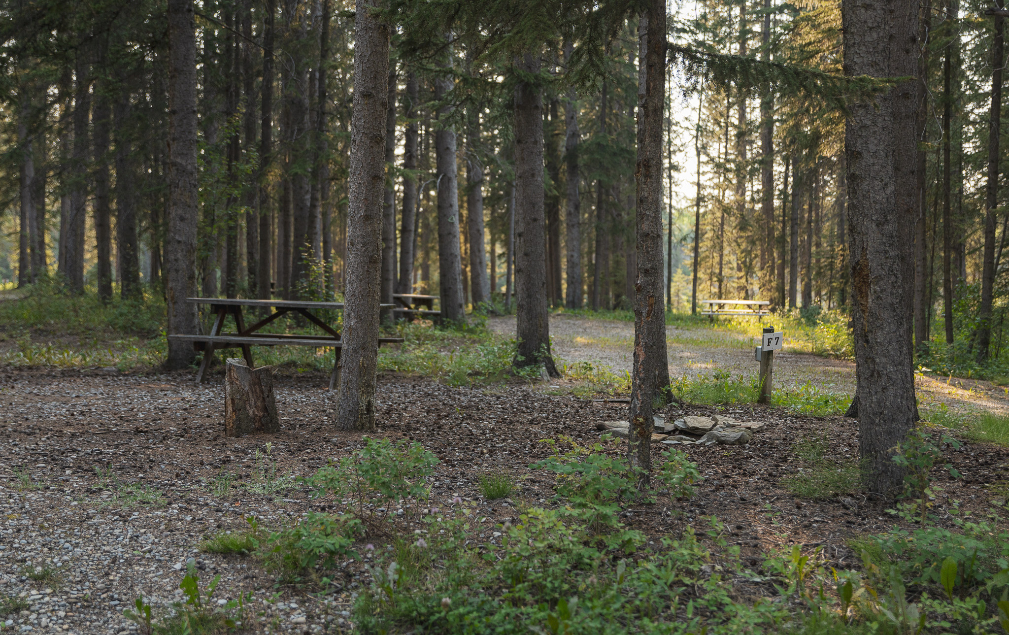 2025 May Long Weekend Camping, Individual Nights (no preselection of ...