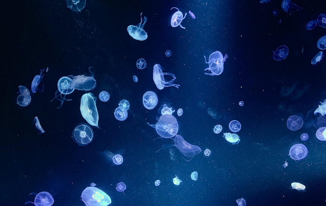 Prom 2023 Tickets | BerkleyHighSchoolProm