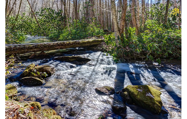Guided Bear Creek Park Hike - Archived Tickets | Bear Lake Reserve