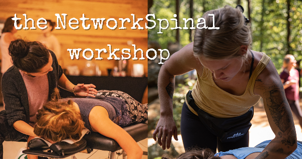 the NetworkSpinal workshop Tickets | the Alignment network BGJ