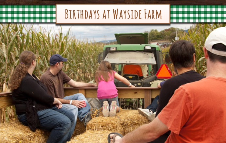 2024 Birthday Party Reservation Deposit | Wayside Farm Fun Tickets ...