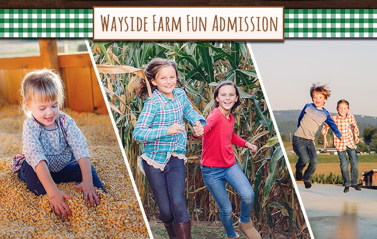 2024 Admission | Wayside Farm Fun Tickets | Wayside Farm Fun