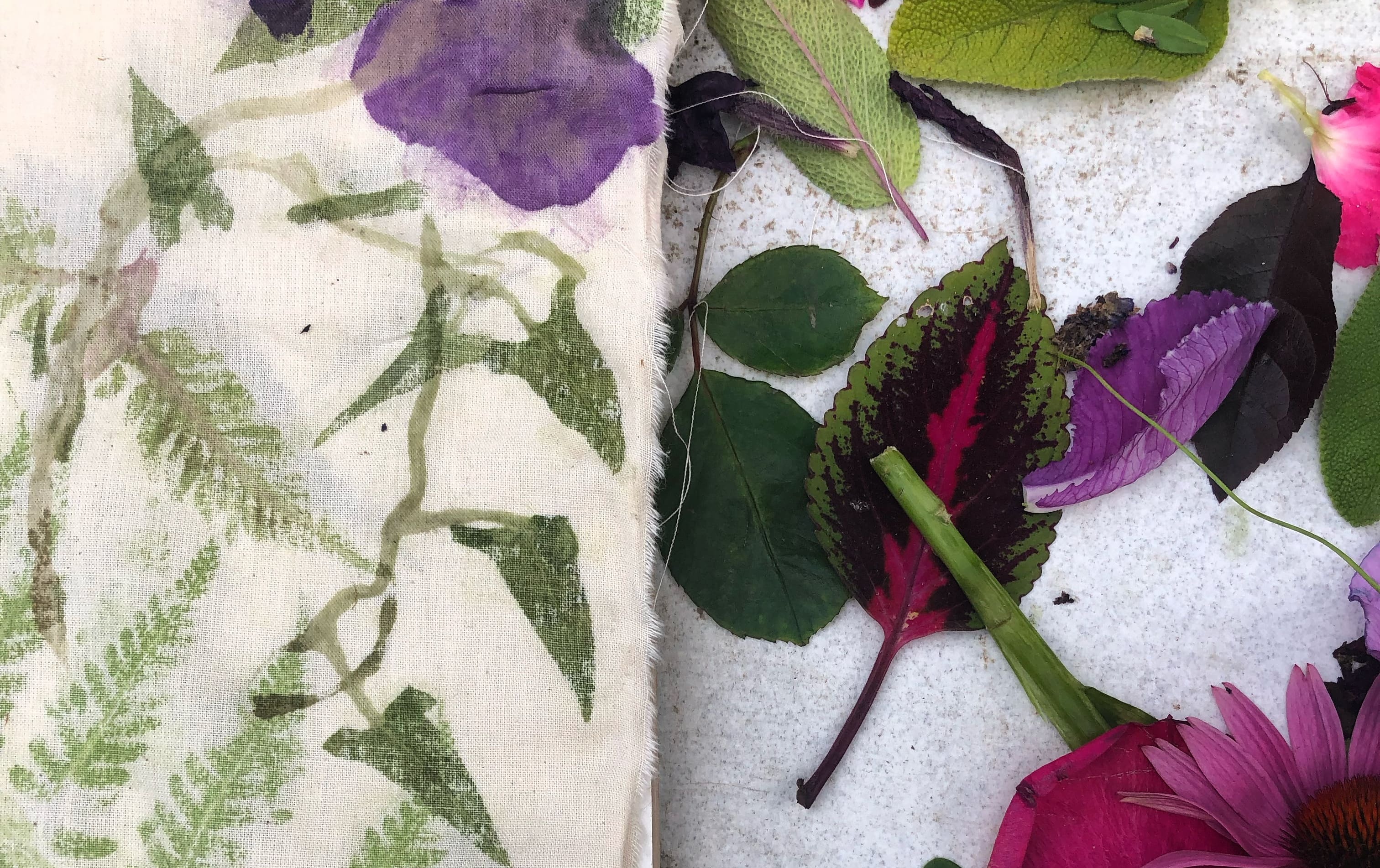 UPDATED: Flower Pounding Workshop with Tami Fuller Tickets | Castellani ...