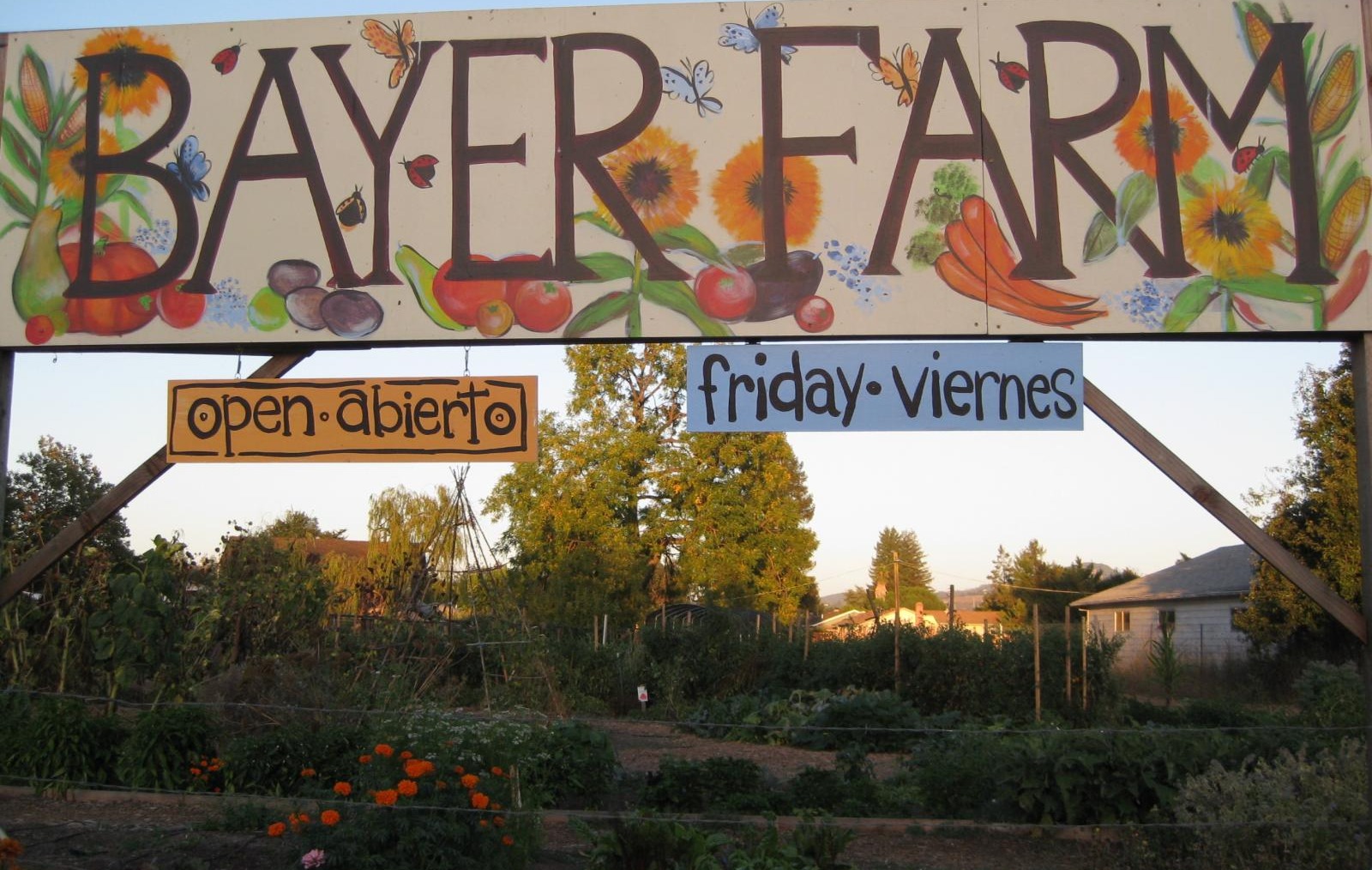 SEEC Wellness Retreat at Bayer Farm Tickets | Events Sonoma Ecology Center