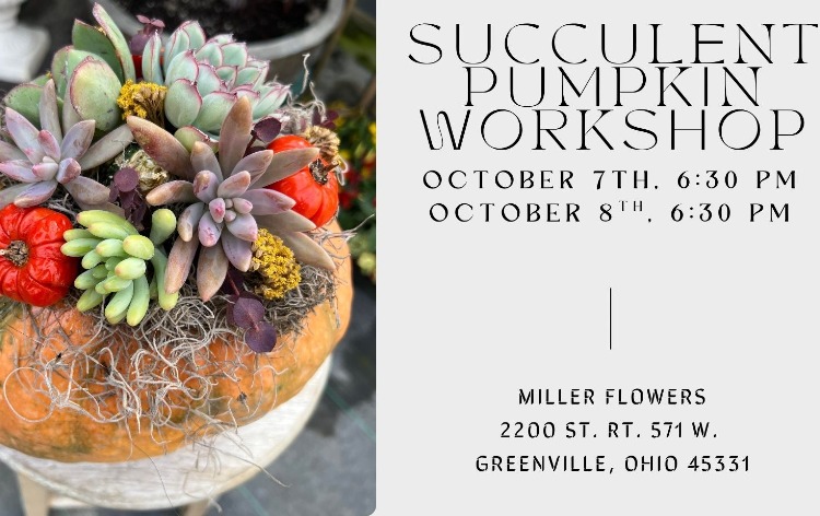 Succulent Pumpkin Workshop Tickets | Miller Flowers