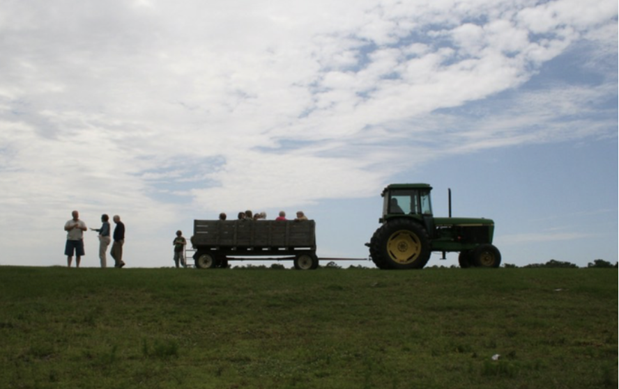 Pezza Farm Hayrides 2024 Tickets | Pezza Farm