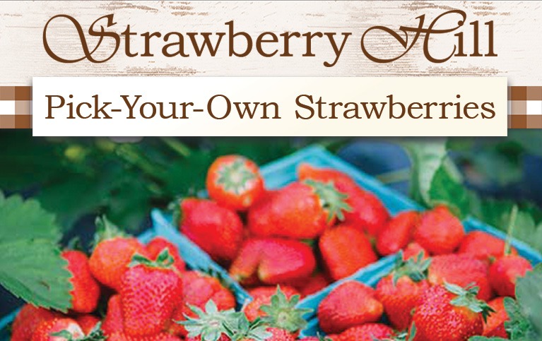 May 24 | Strawberry Hill Strawberry U-Pick Reservation Tickets | Wegmeyer Farms