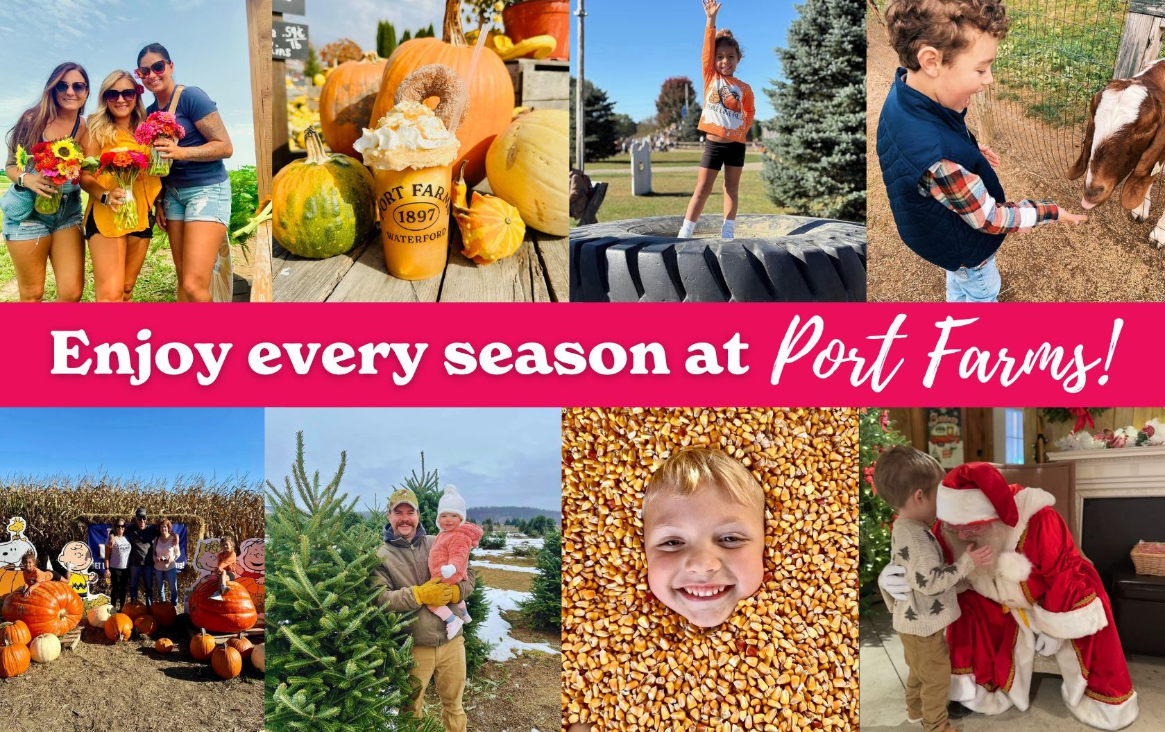 2025 Port Farms Season Tickets | Port Farms