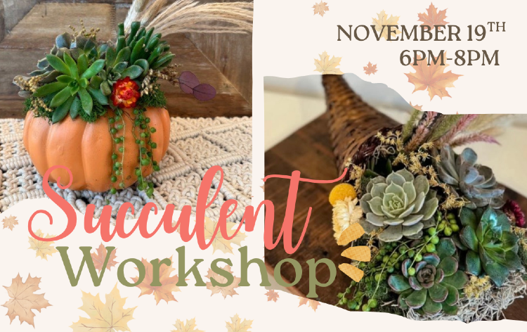 Fall Succulent Workshop with Gallivanting Greenhouse Tickets | Easton ...