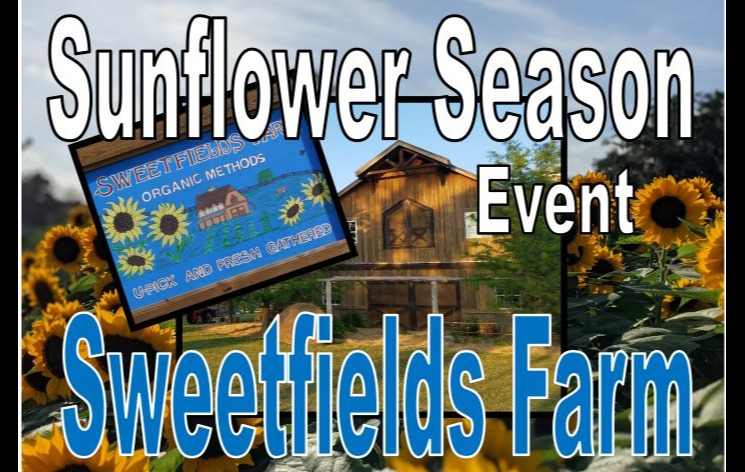Sunflower Season Fun At Sweetfields Farm 2024 Tickets | Sweetfields Farm
