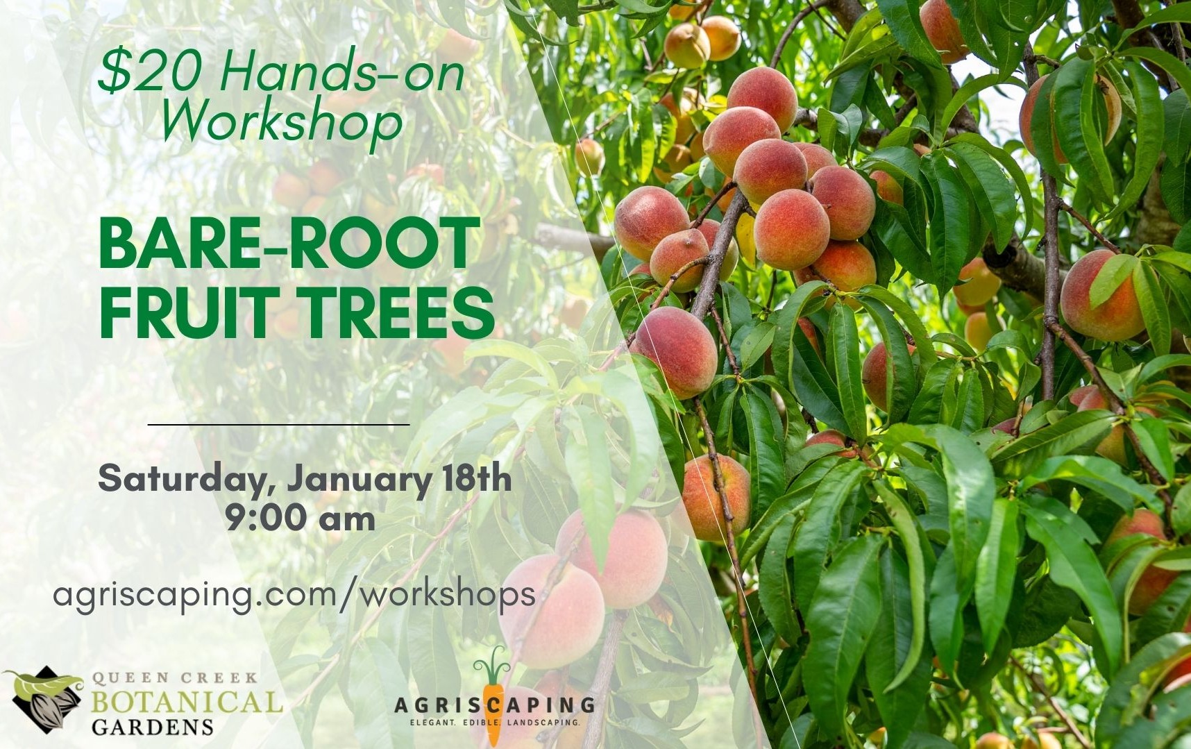Bare-Root Fruit Trees Tickets | Queen Creek Botanical Gardens