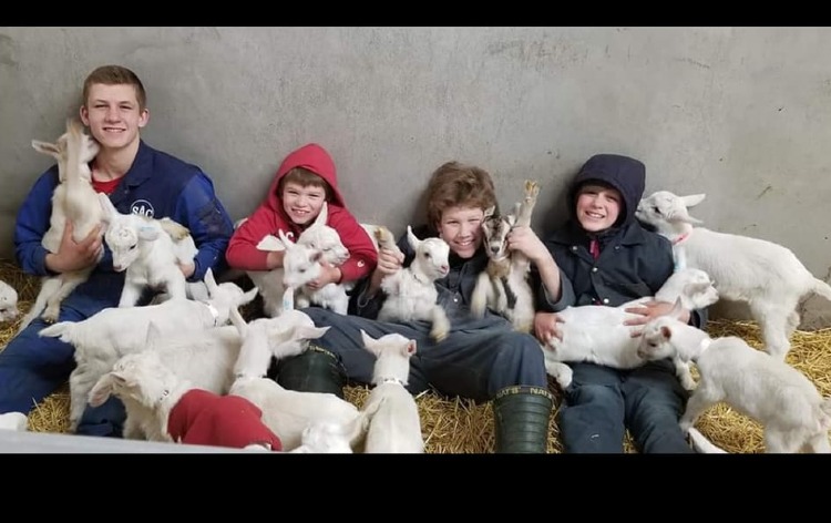 Baby Goat Tours Tickets | Dehaan Family Farms