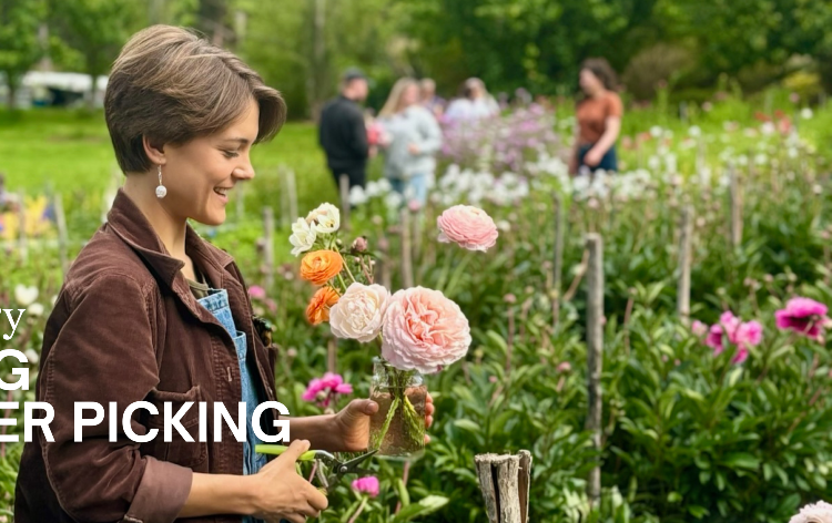 Spring Flowers & Peony Picking Tickets | Earthenry Flower Farm