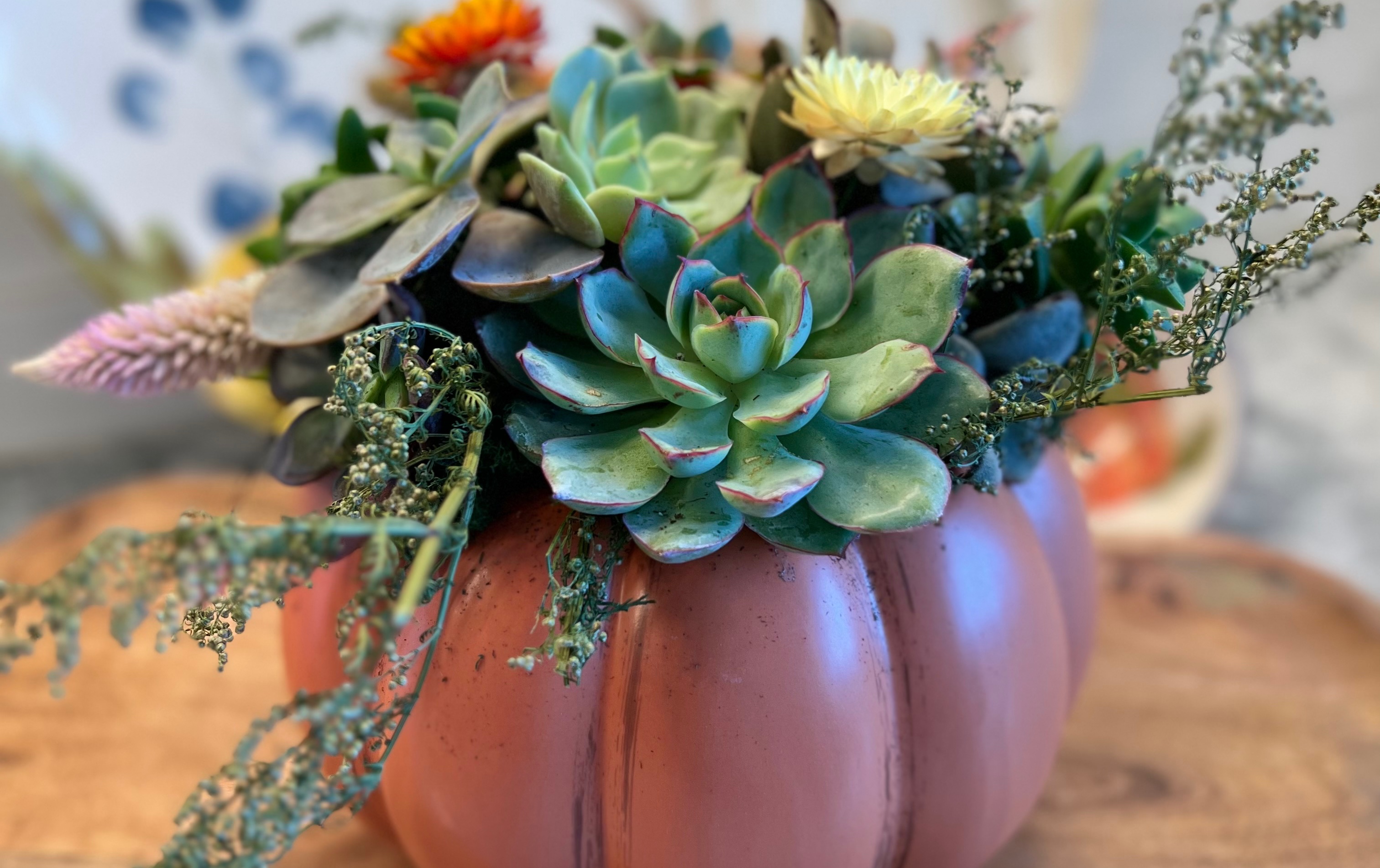 Pumpkin Succulent workshop at The Nutty Pear Tickets | Gallivanting Greenhouse