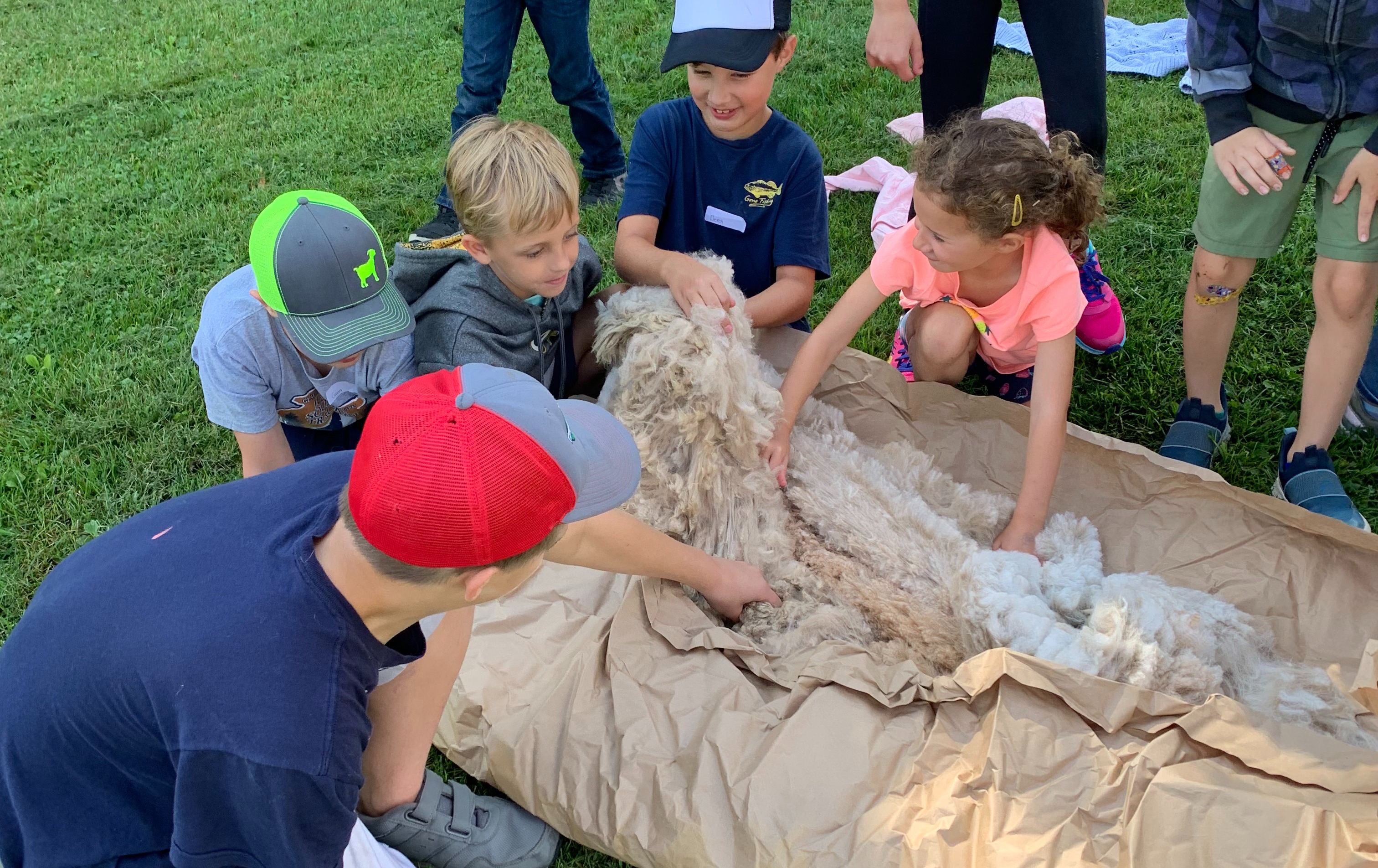 Animal Adventures & Farm Fun Camp Tickets | White Pine Berry Farm