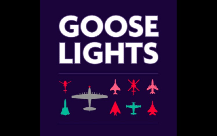 Goose Lights - Holiday at the Hangar Tickets | Evergreen Aviation ...