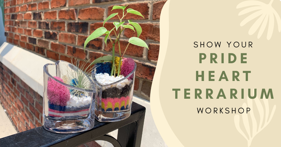 Show Your Pride Heart Terrarium Workshop Tickets | Twigs & Figs