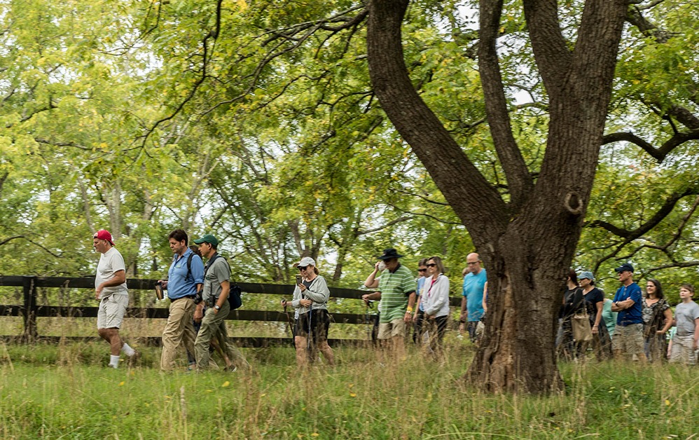 Fall Woods Walk Tickets | James Madisons Montpelier