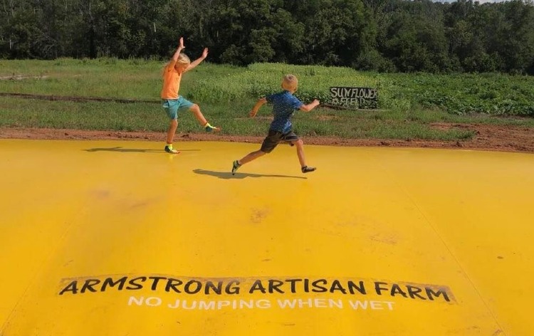 Farm Fun Day - Archived Tickets | Armstrong Artisan Farm