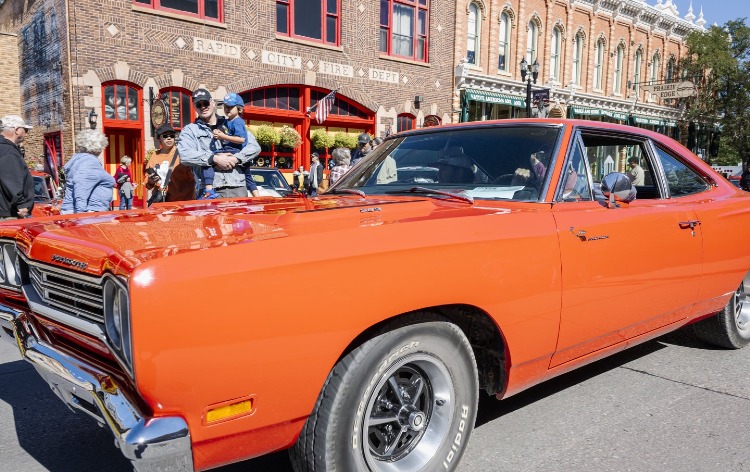 Vehicle Registration Rapid City