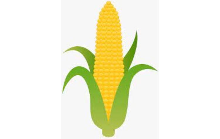 2024-2025 Golden Corn Awards Ceremony Tickets | Union Drama Booster Club