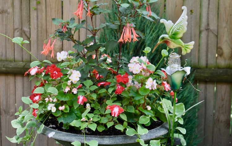 House, Garden & History Tour (and Stoop Stroll) Tickets | Center Square ...