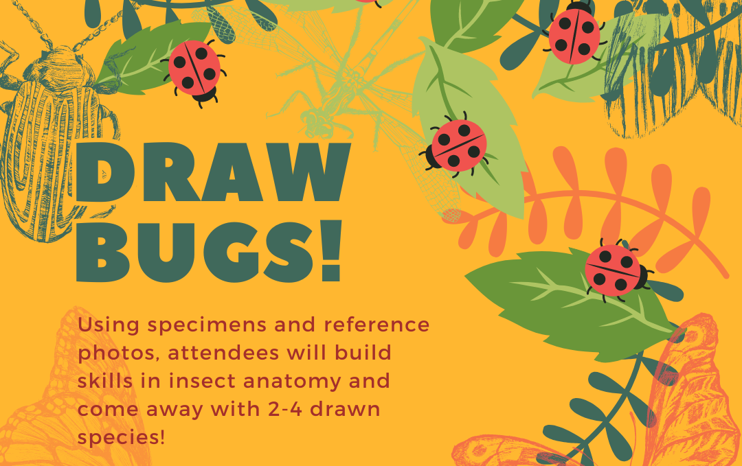 Draw Bugs! In Person Tickets | Push/Pull