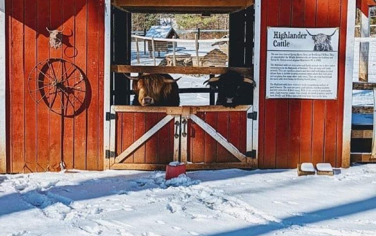 Winter Wonderland at Spring Haven Farm Tickets | Spring Haven Farm